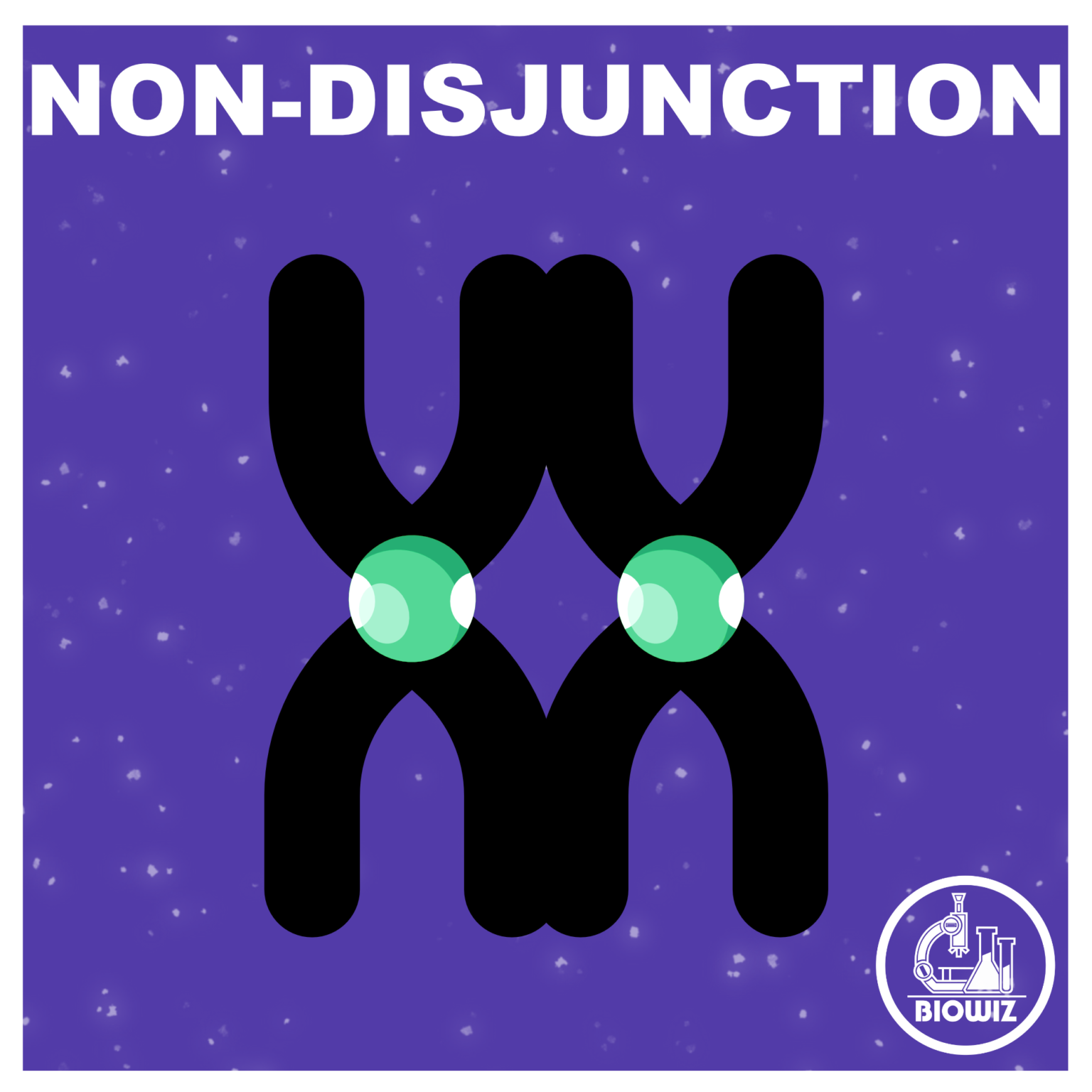 NON-DISJUNCTION OF CHROMOSOMES